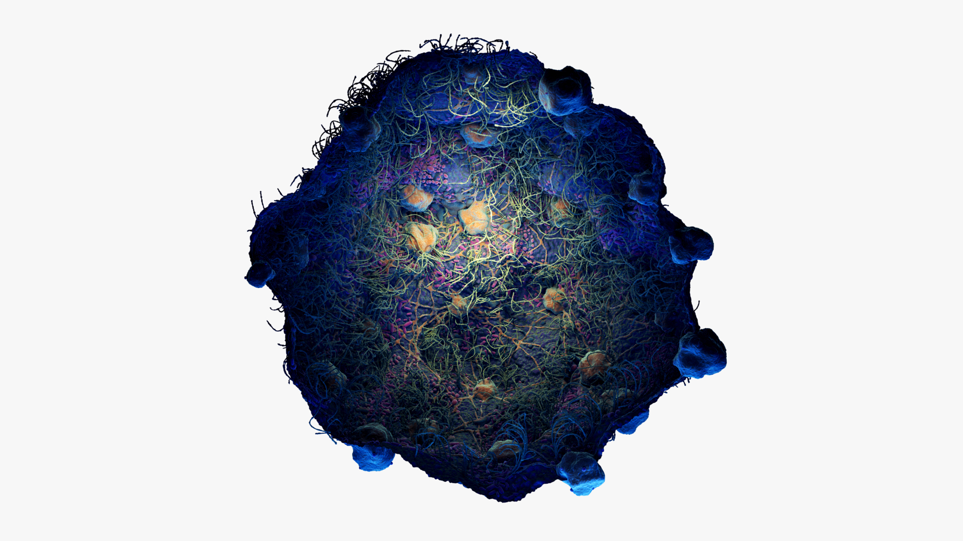 Environment Cells Model - TurboSquid 2055644