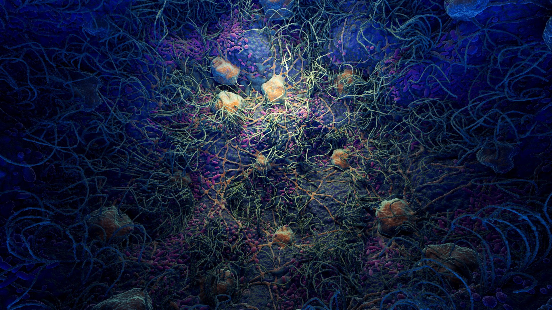 Environment Cells Model - TurboSquid 2055644