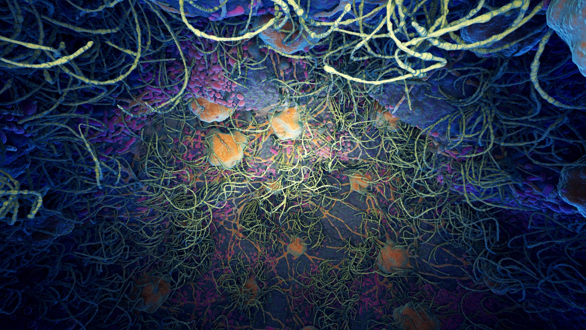 Environment Cells Model - TurboSquid 2055644