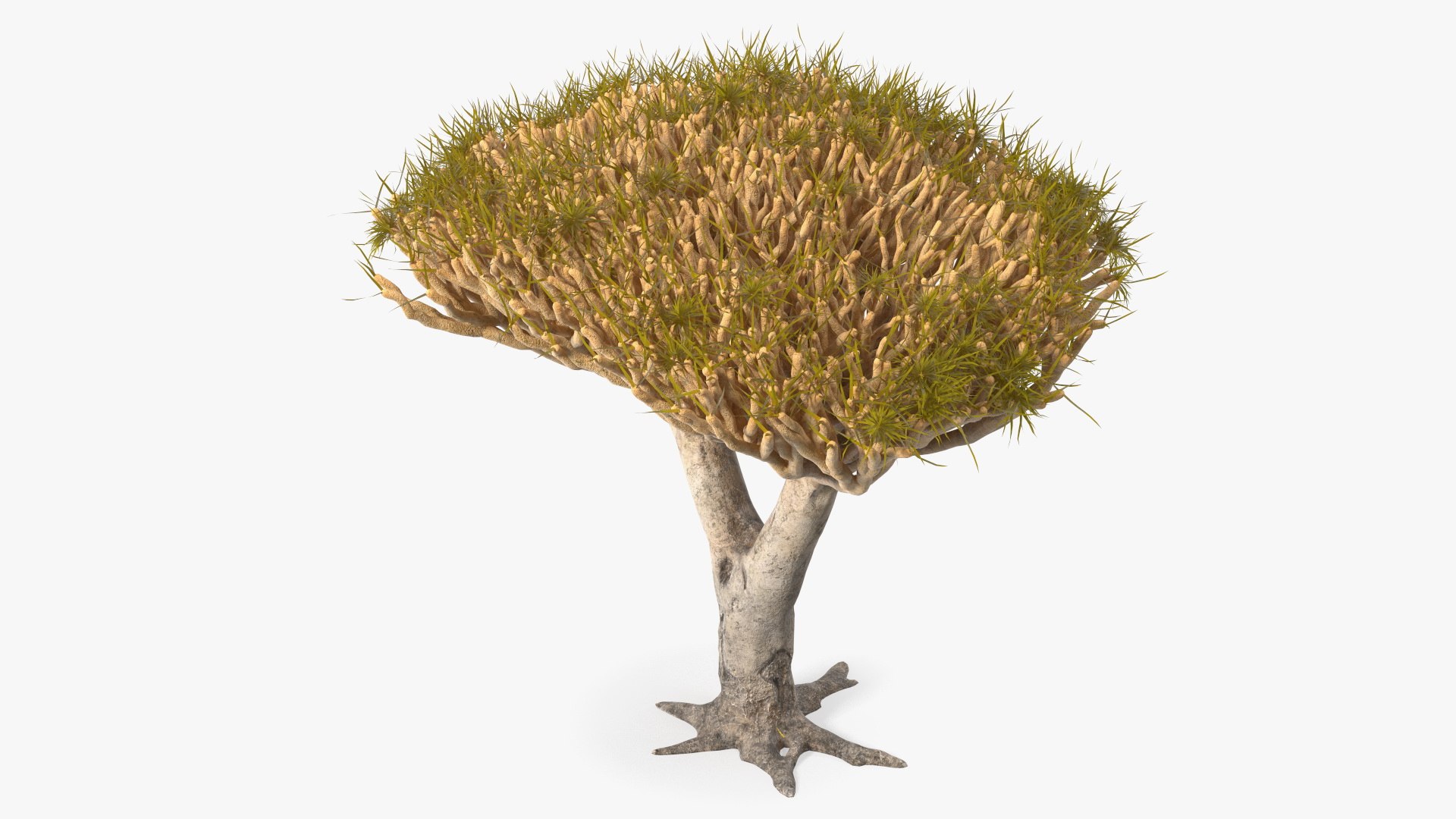 3D Dragon Trees Collection - TurboSquid 2210618