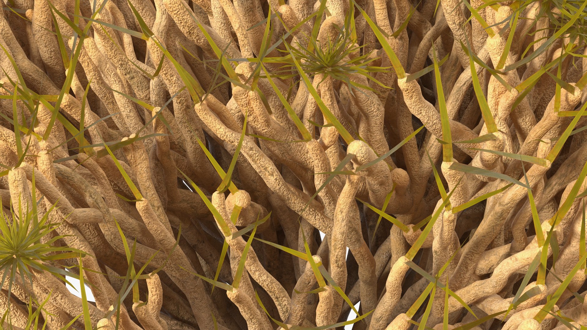 3D Dragon Trees Collection - TurboSquid 2210618