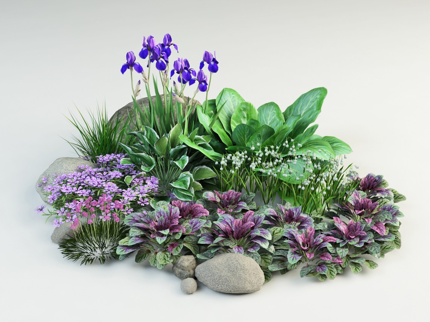 3d model composition plants ajuga