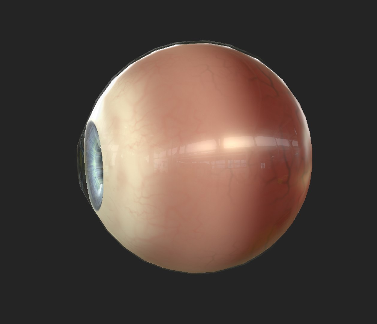 Eyeball Model - TurboSquid 1344228