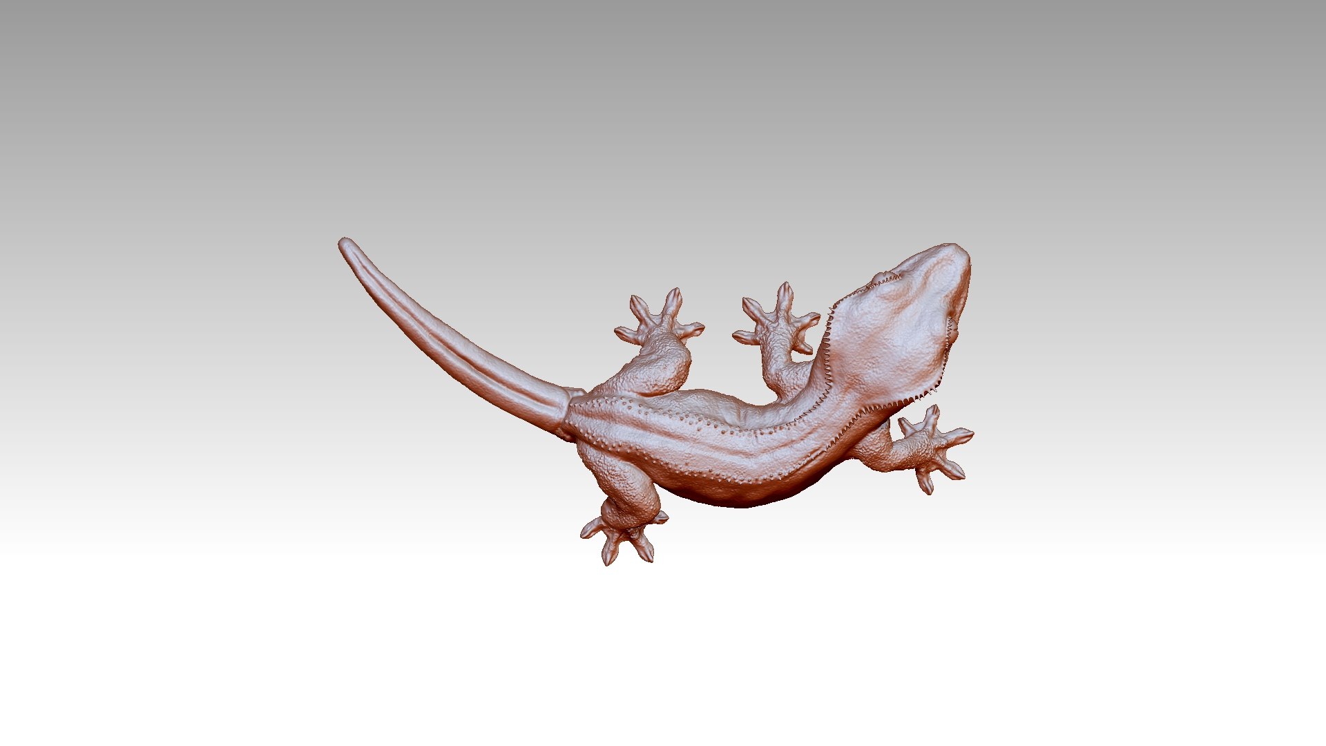 Lizard Crested Gecko Statue Zbrush Sculpt 3D Model - TurboSquid 1904251