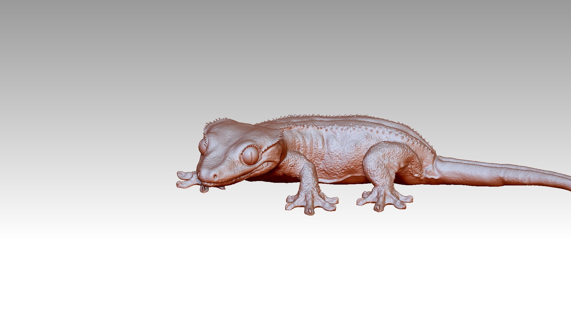 Lizard Crested Gecko Statue Zbrush Sculpt 3D Model - TurboSquid 1904251