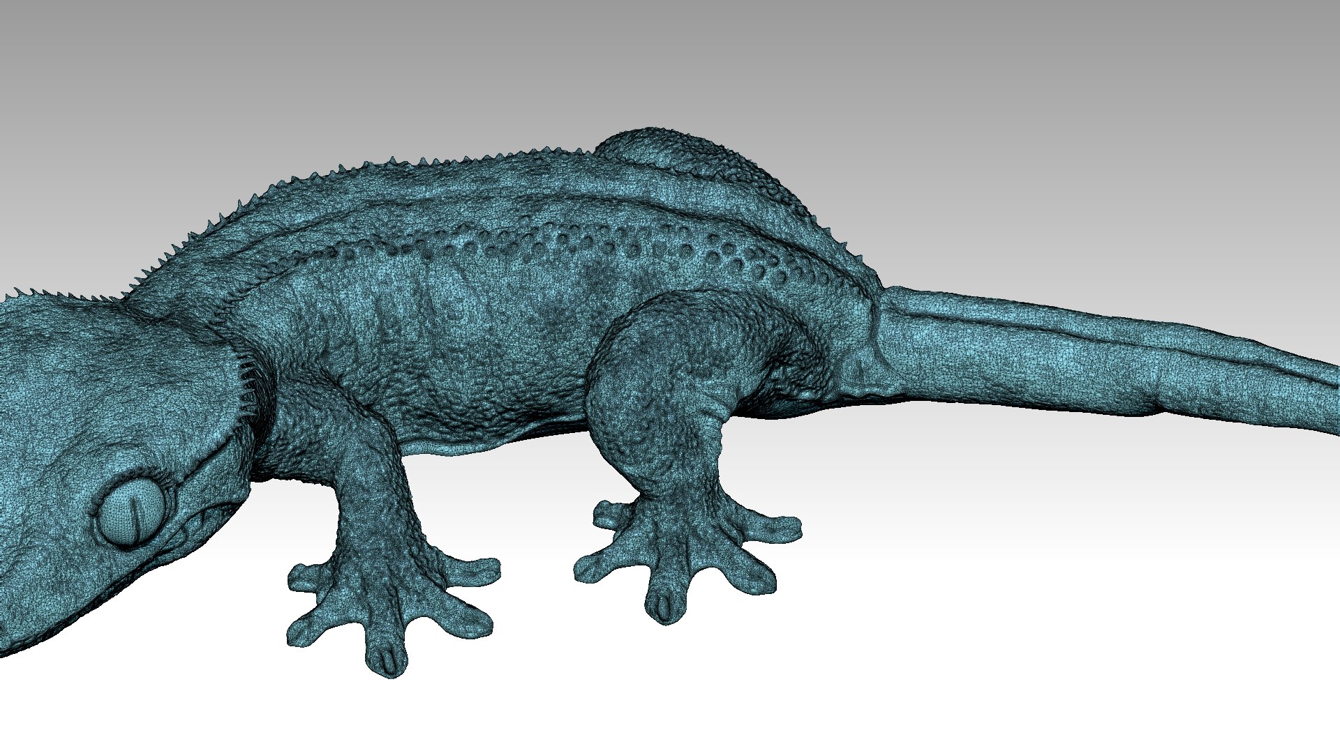 Lizard Crested Gecko Statue Zbrush Sculpt 3D Model - TurboSquid 1904251