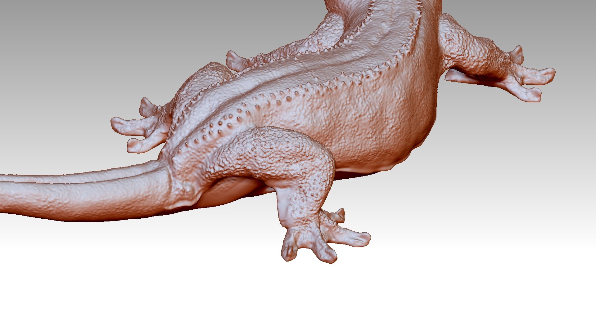 Lizard Crested Gecko Statue Zbrush Sculpt 3D Model - TurboSquid 1904251