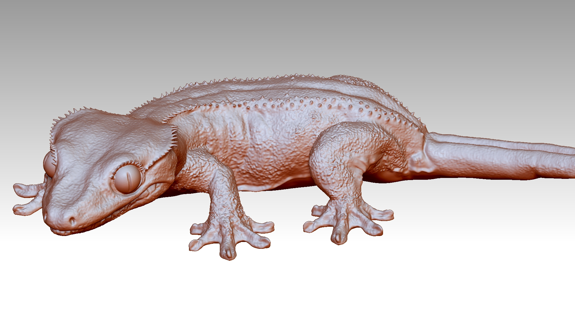 modelo 3d lizard Crested Gecko statue Zbrush Sculpt 3D - TurboSquid 1904251