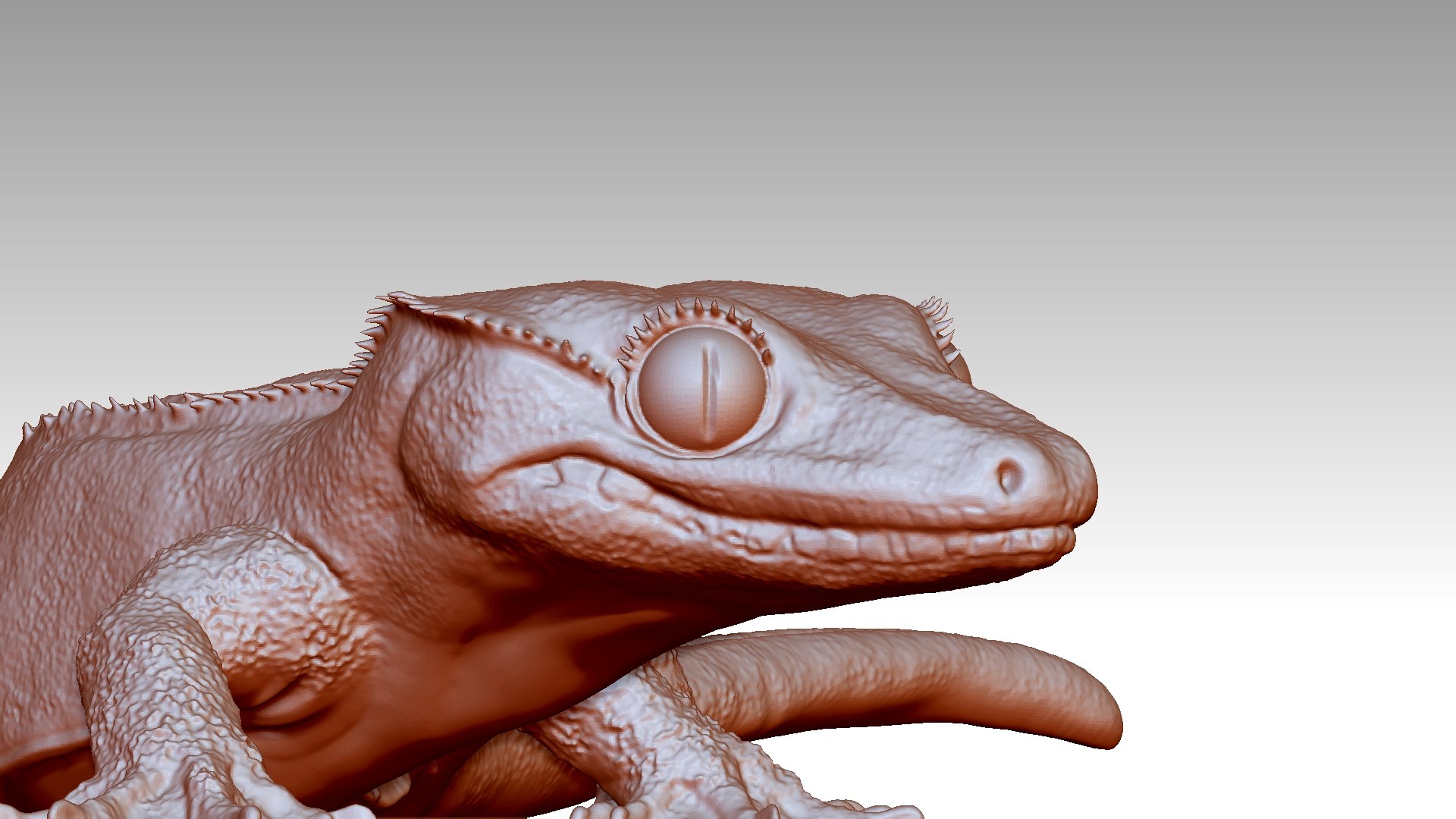 Lizard Crested Gecko Statue Zbrush Sculpt 3D Model - TurboSquid 1904251