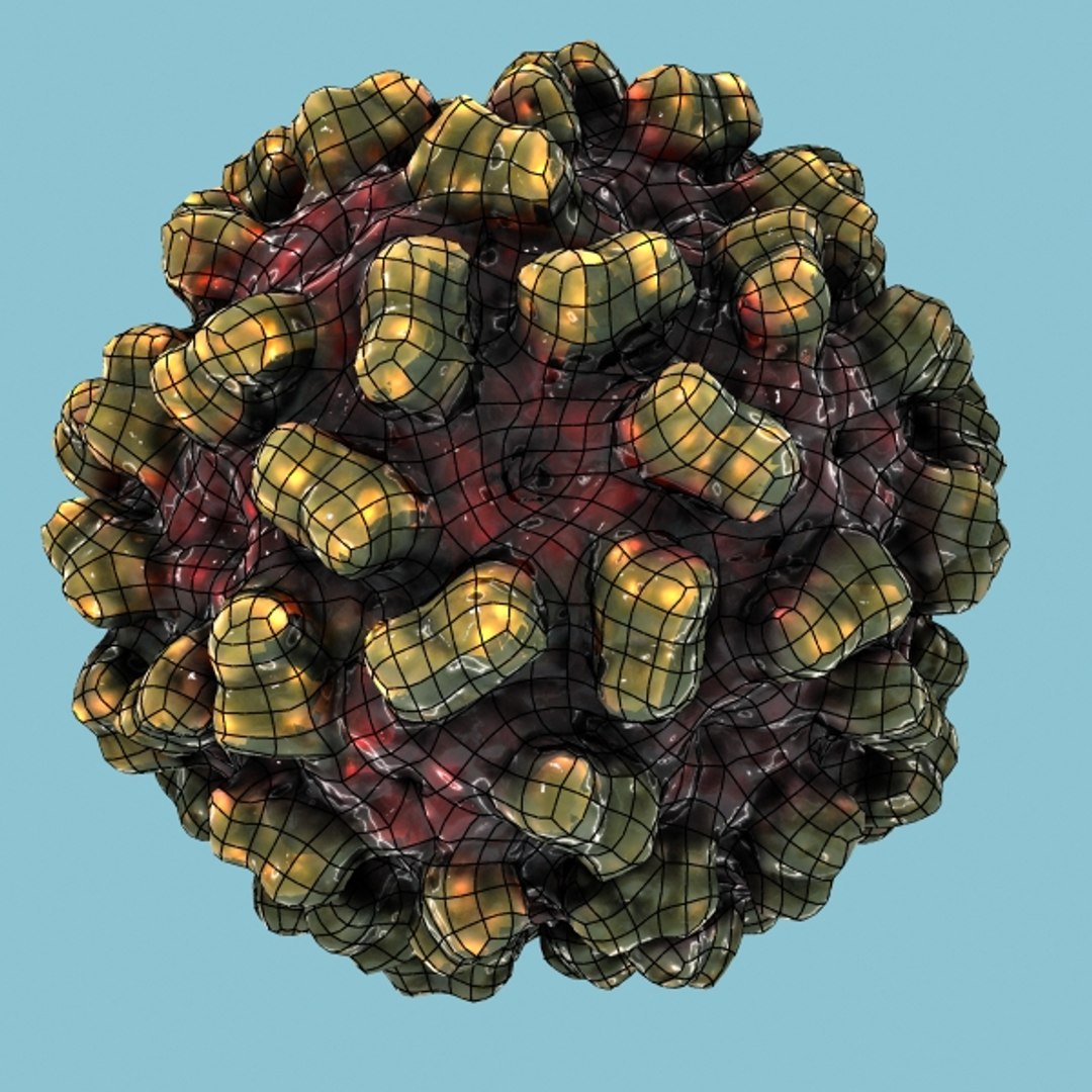 Max Necrotic Spot Virus