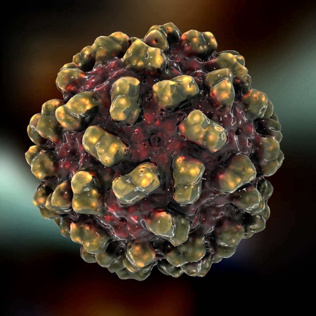 Max Necrotic Spot Virus