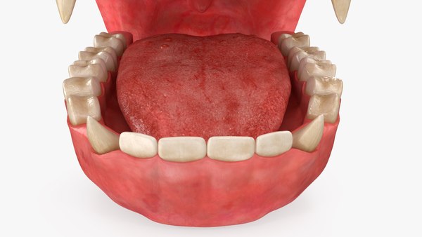 3D Creature Jaw Rig Maya - TurboSquid 1789730