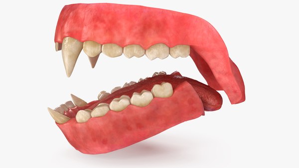 3D Creature Jaw Rig Maya - TurboSquid 1789730