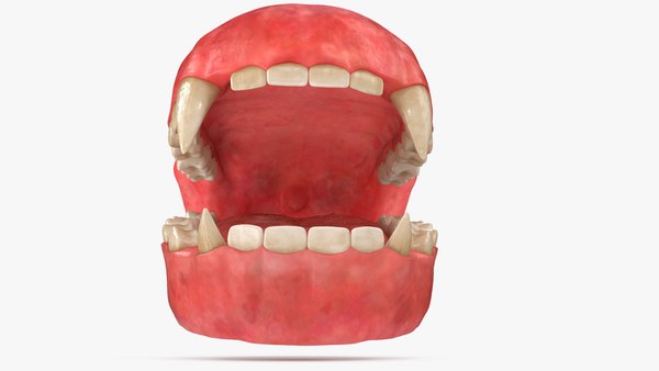3D Creature Jaw Rig Maya - TurboSquid 1789730