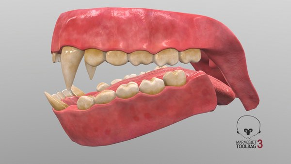 3D Creature Jaw Rig Maya - TurboSquid 1789730