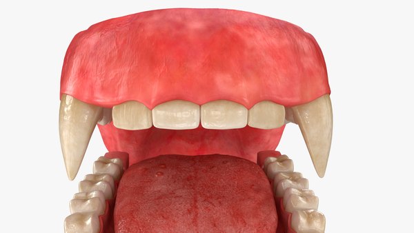 3D Creature Jaw Rig Maya - TurboSquid 1789730