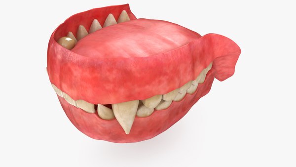 3D Creature Jaw Rig Maya - TurboSquid 1789730