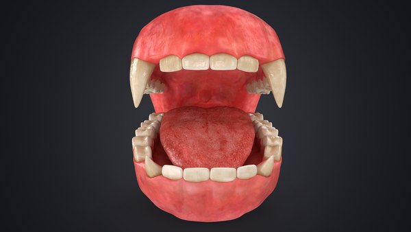 modelo 3d Criatura Jaw Rig Maya - TurboSquid 1789730