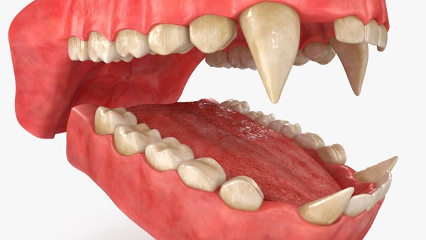 3D Creature Jaw Rig Maya - TurboSquid 1789730