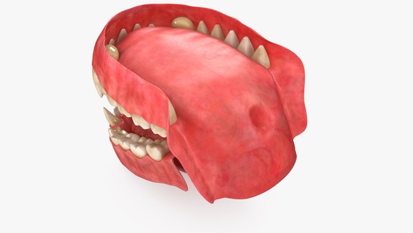 3D Creature Jaw Rig Maya - TurboSquid 1789730