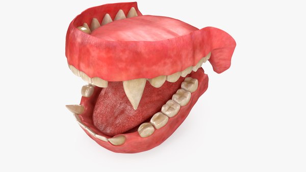 3D Creature Jaw Rig Maya - TurboSquid 1789730