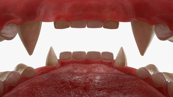 3D Creature Jaw Rig Maya - TurboSquid 1789730