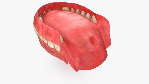 3D Creature Jaw Rig Maya - TurboSquid 1789730