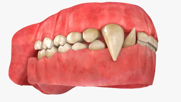 3D Creature Jaw Rig Maya - TurboSquid 1789730