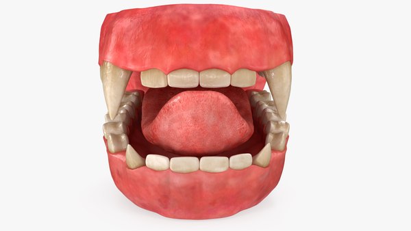 3D Creature Jaw Rig Maya - TurboSquid 1789730