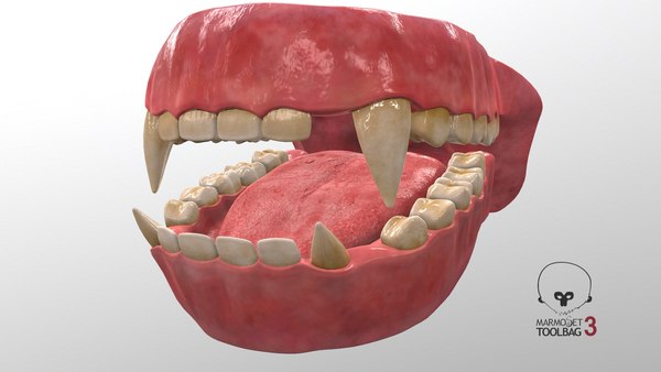 3D Creature Jaw Rig Maya - TurboSquid 1789730