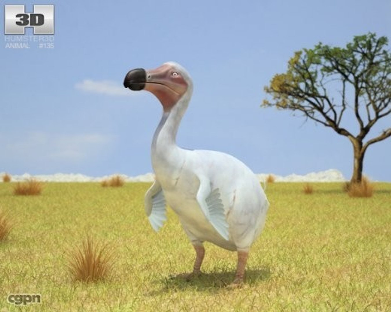 3ds Cucullatus Dodo Raphus