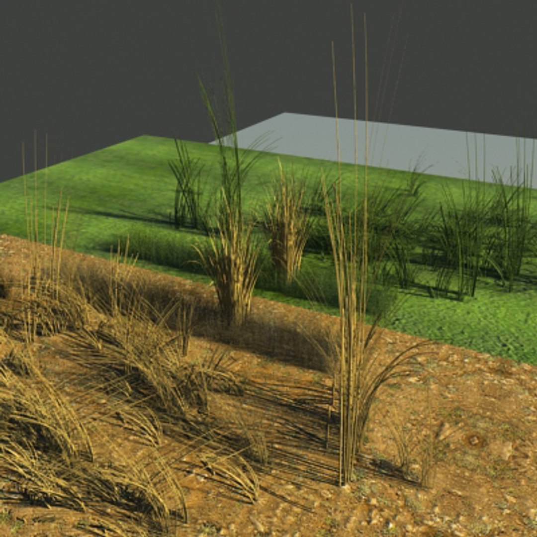 3d Model Physical Green Grass