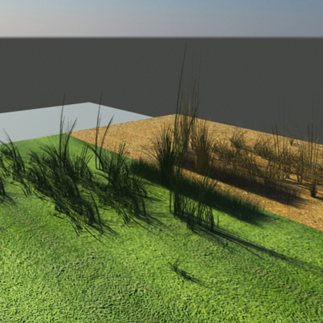 3d Model Physical Green Grass