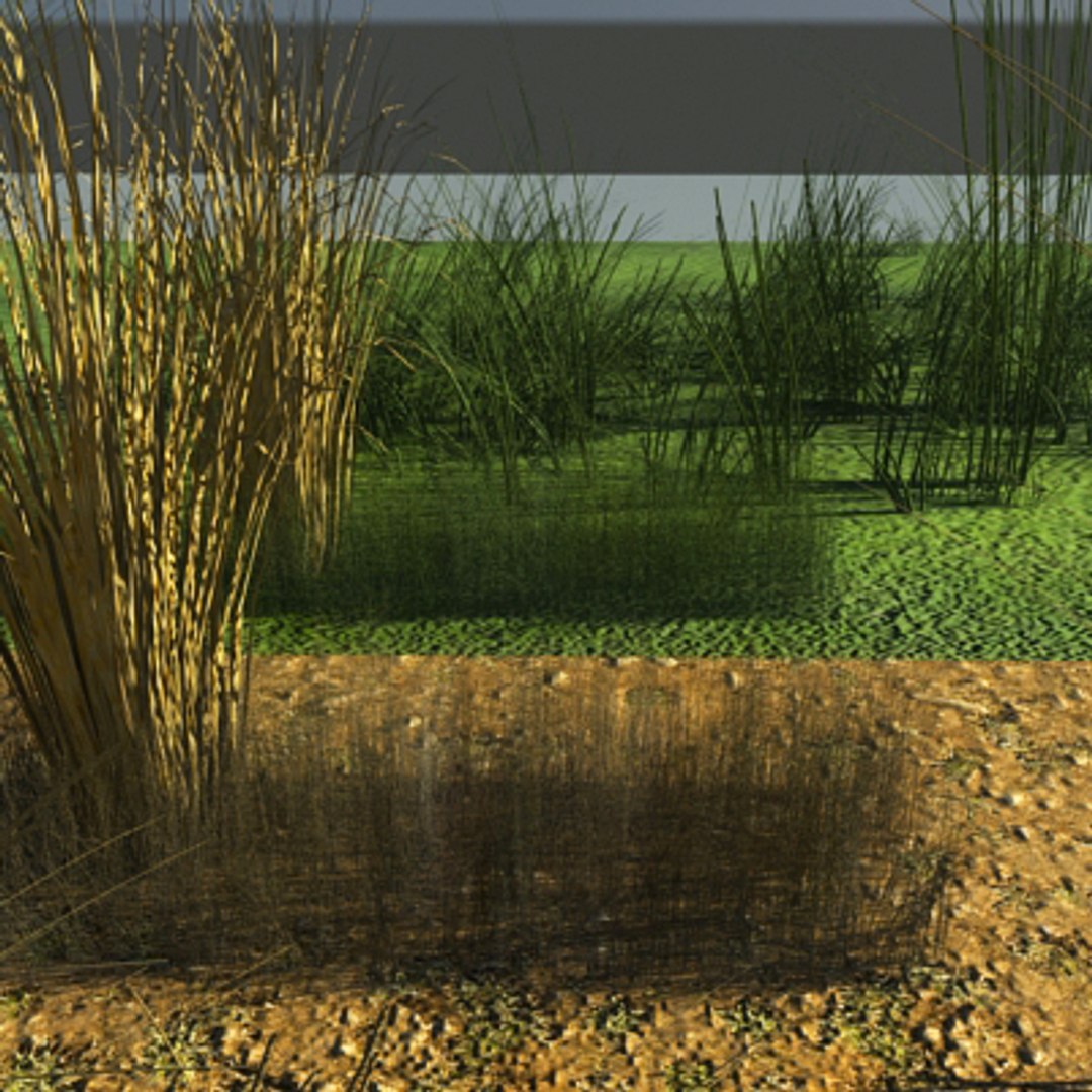 3d Model Physical Green Grass