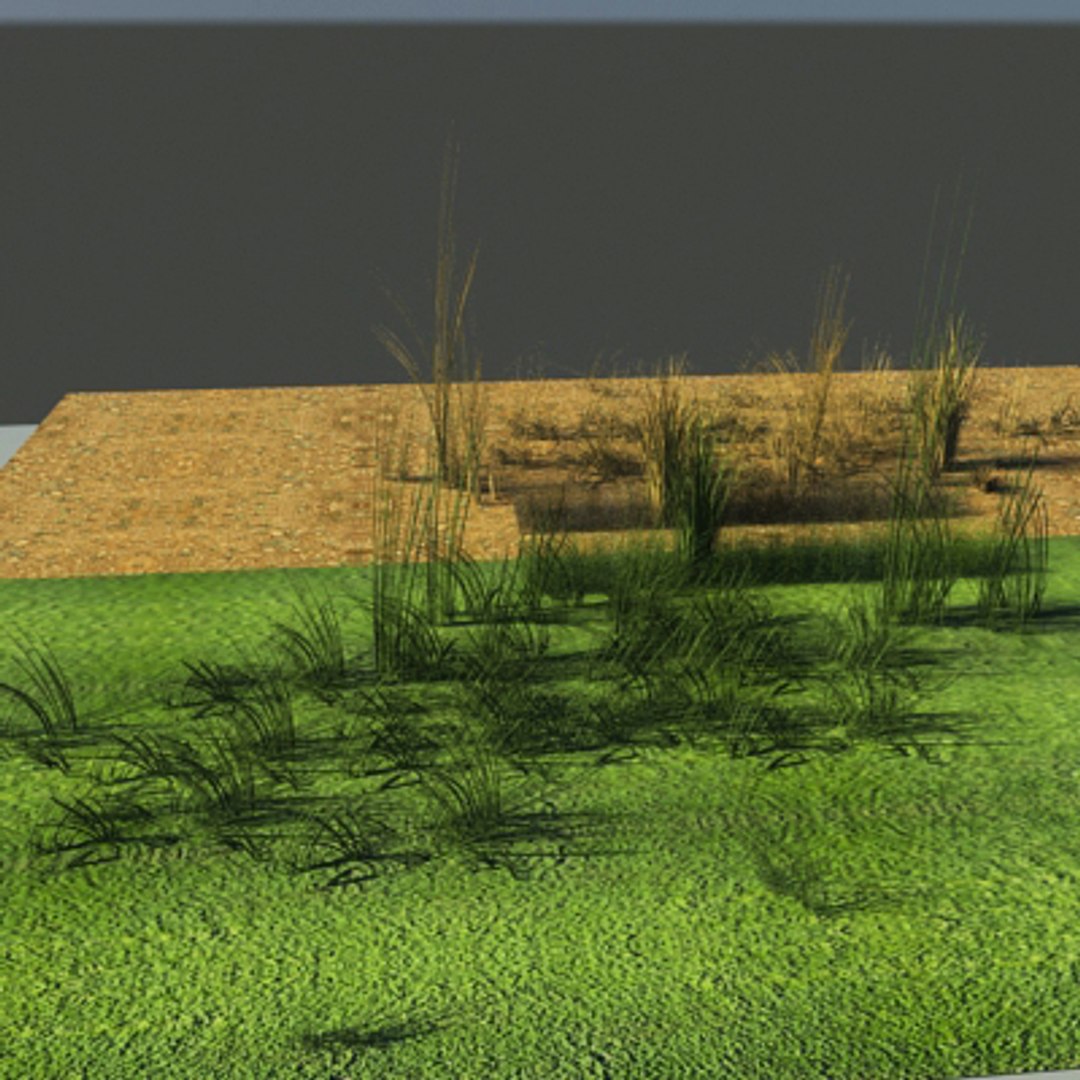 3d Model Physical Green Grass