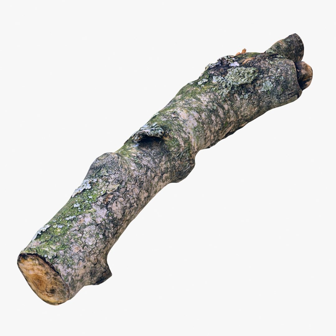 3D Realistic Branch 01 2 - TurboSquid 1217357