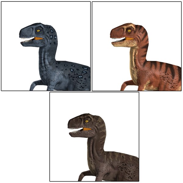 Utahraptor 3D Models for Download | TurboSquid