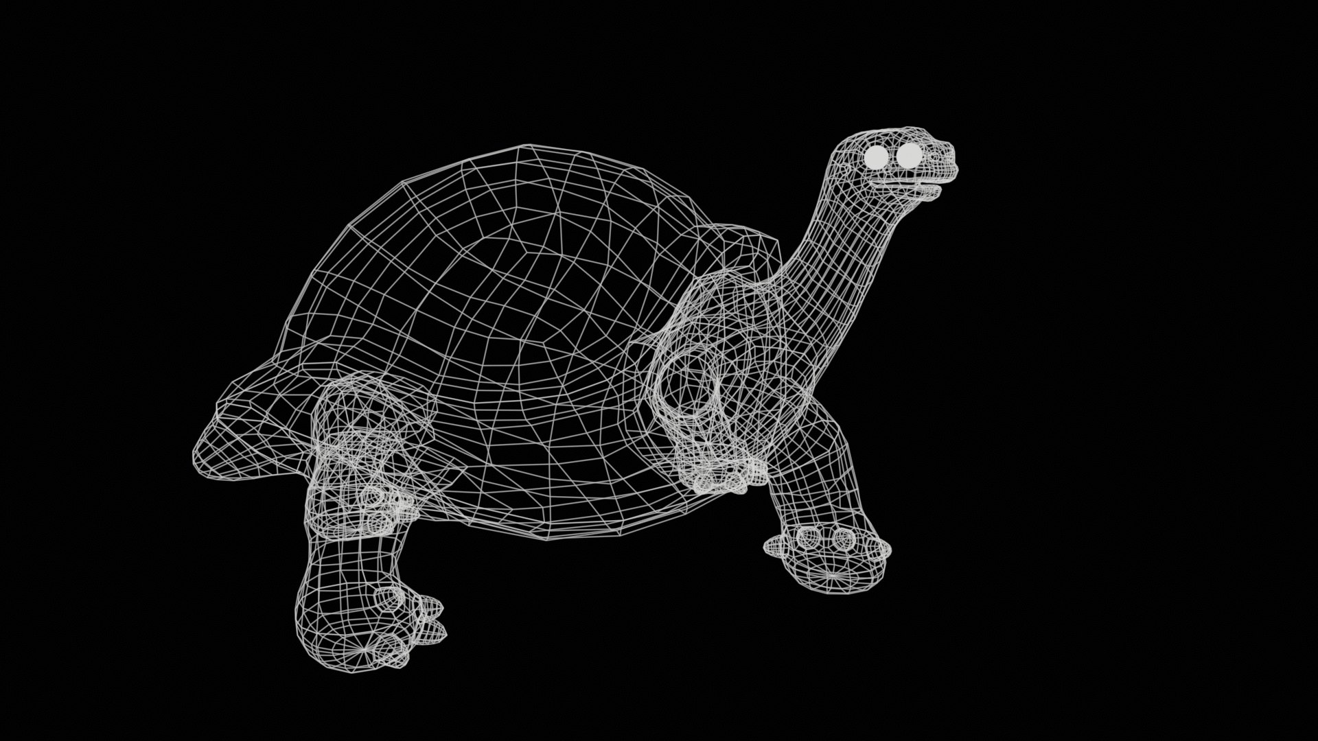 3D Turtle Rig High-poly - TurboSquid 2346496