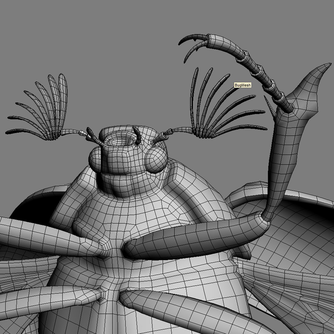 Bug Wings Modeled Max