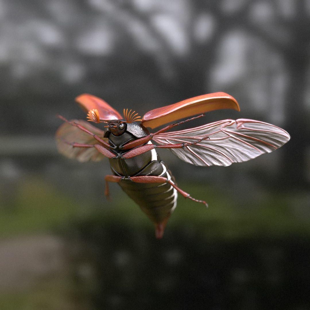 Bug Wings Modeled Max