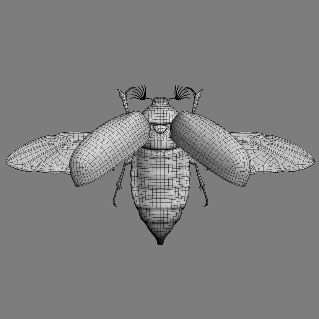 Bug Wings Modeled Max