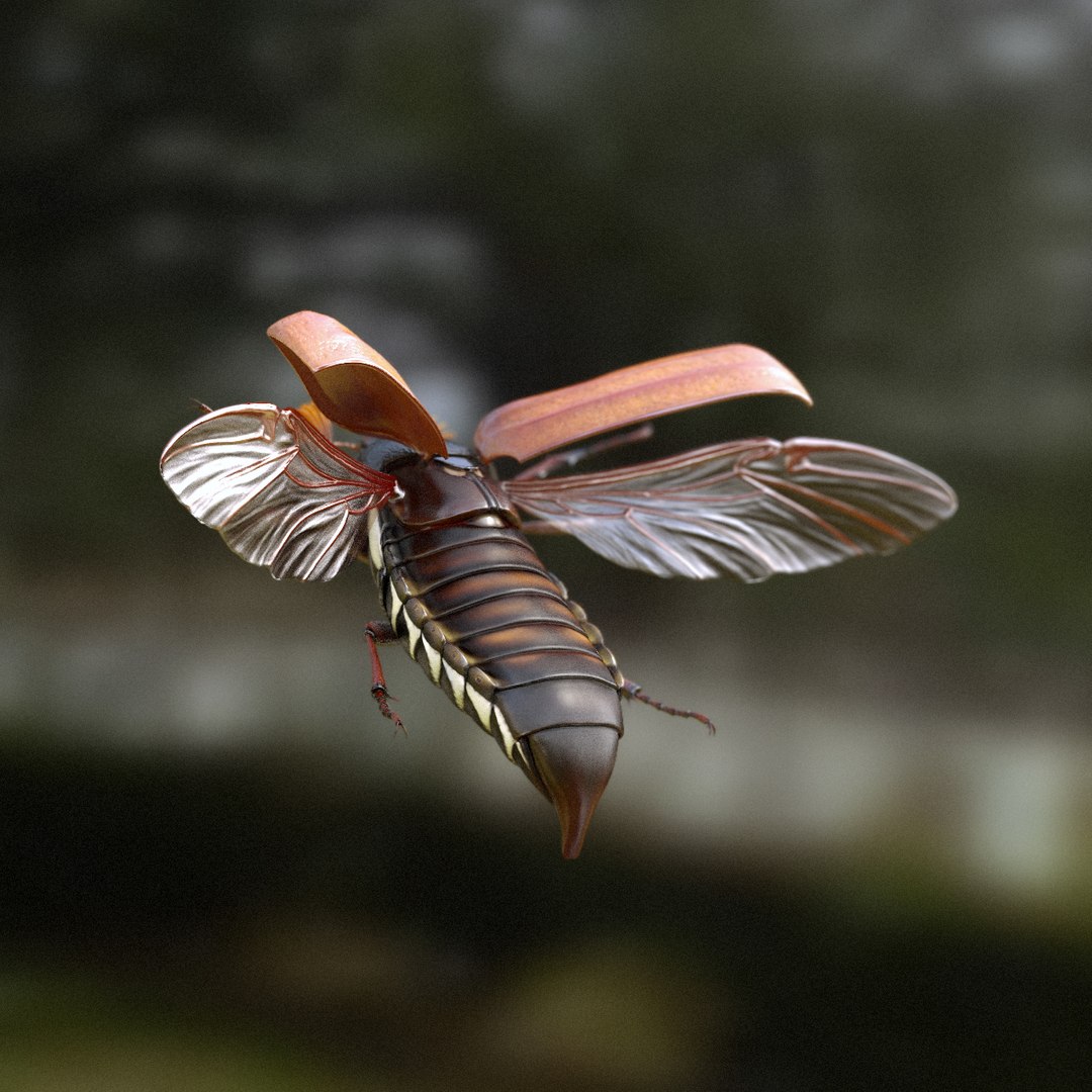Bug Wings Modeled Max