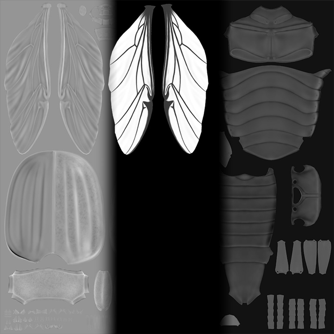 Bug Wings Modeled Max