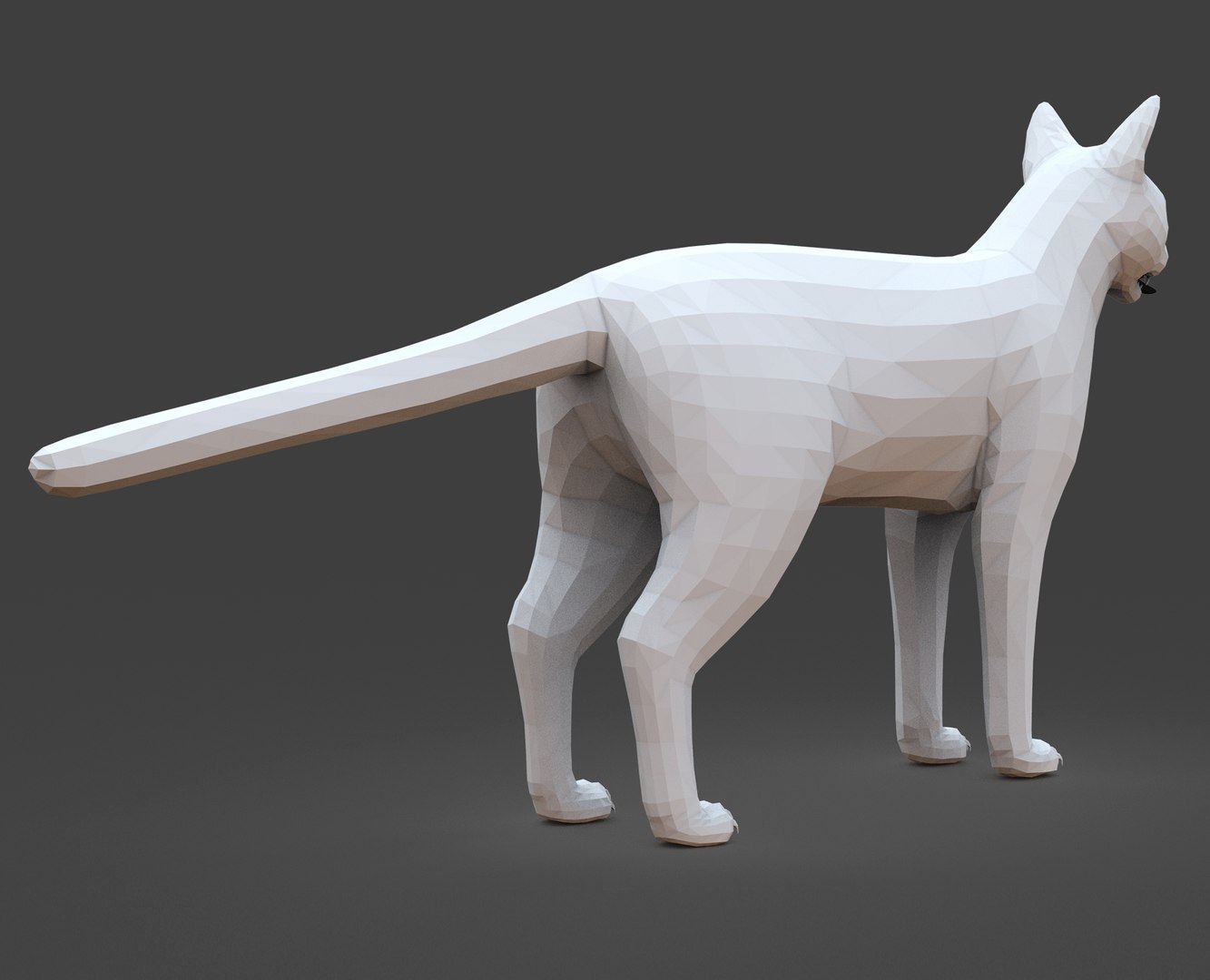 3D Model Cat - TurboSquid 1533983
