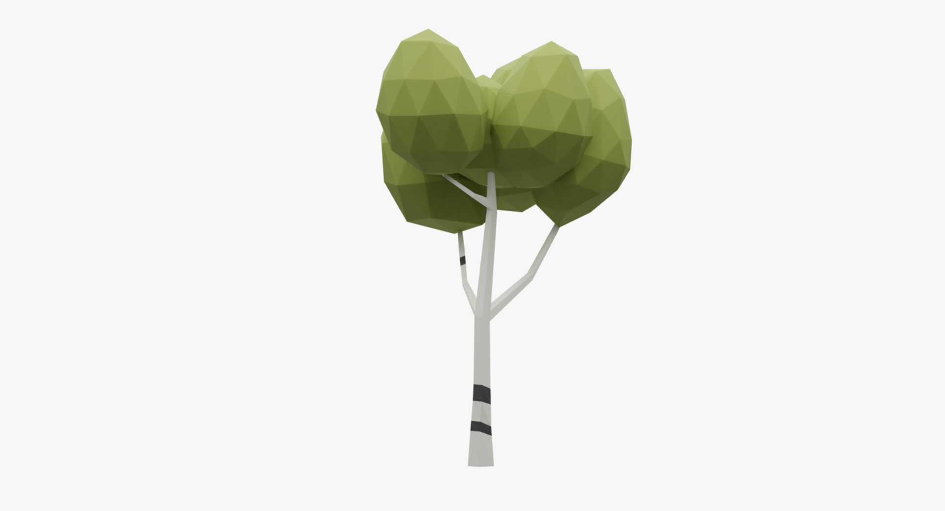 Cartoon Birch Tree Model - TurboSquid 1381247