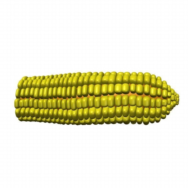 maya corn vegetable