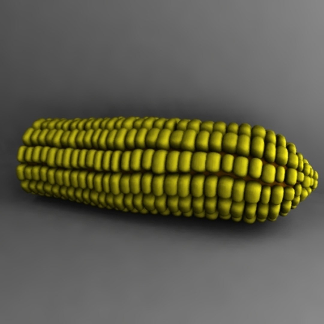 Maya Corn Vegetable