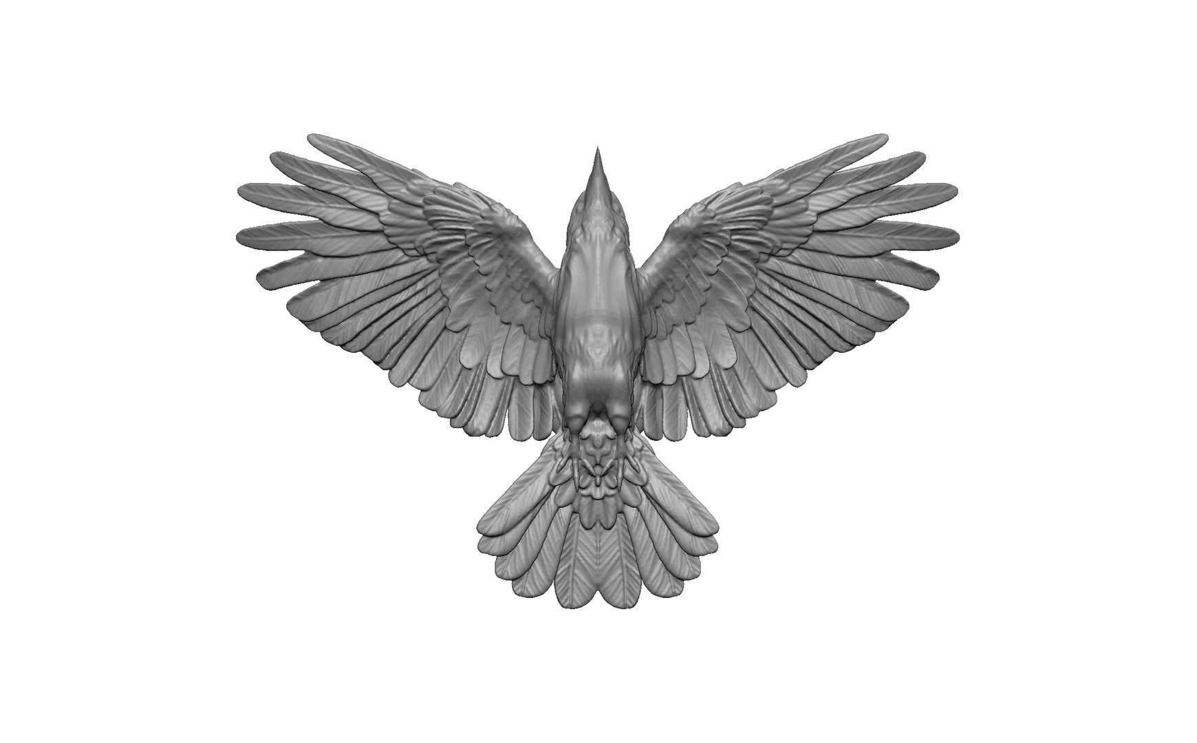 3D Bird Flies Model - TurboSquid 2209384