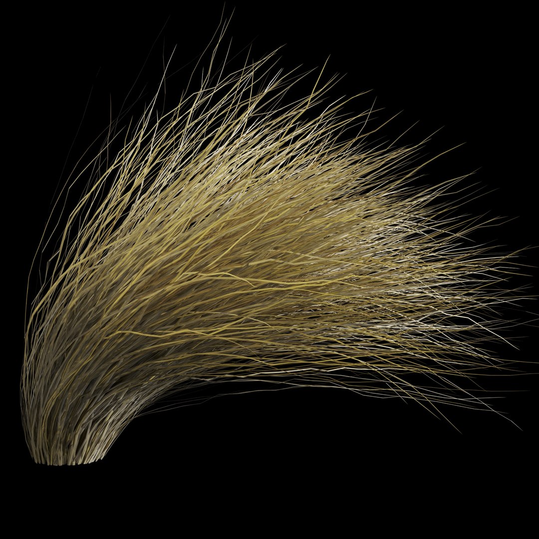 Bushes Wild Dry Grass 3D Model - TurboSquid 1590614