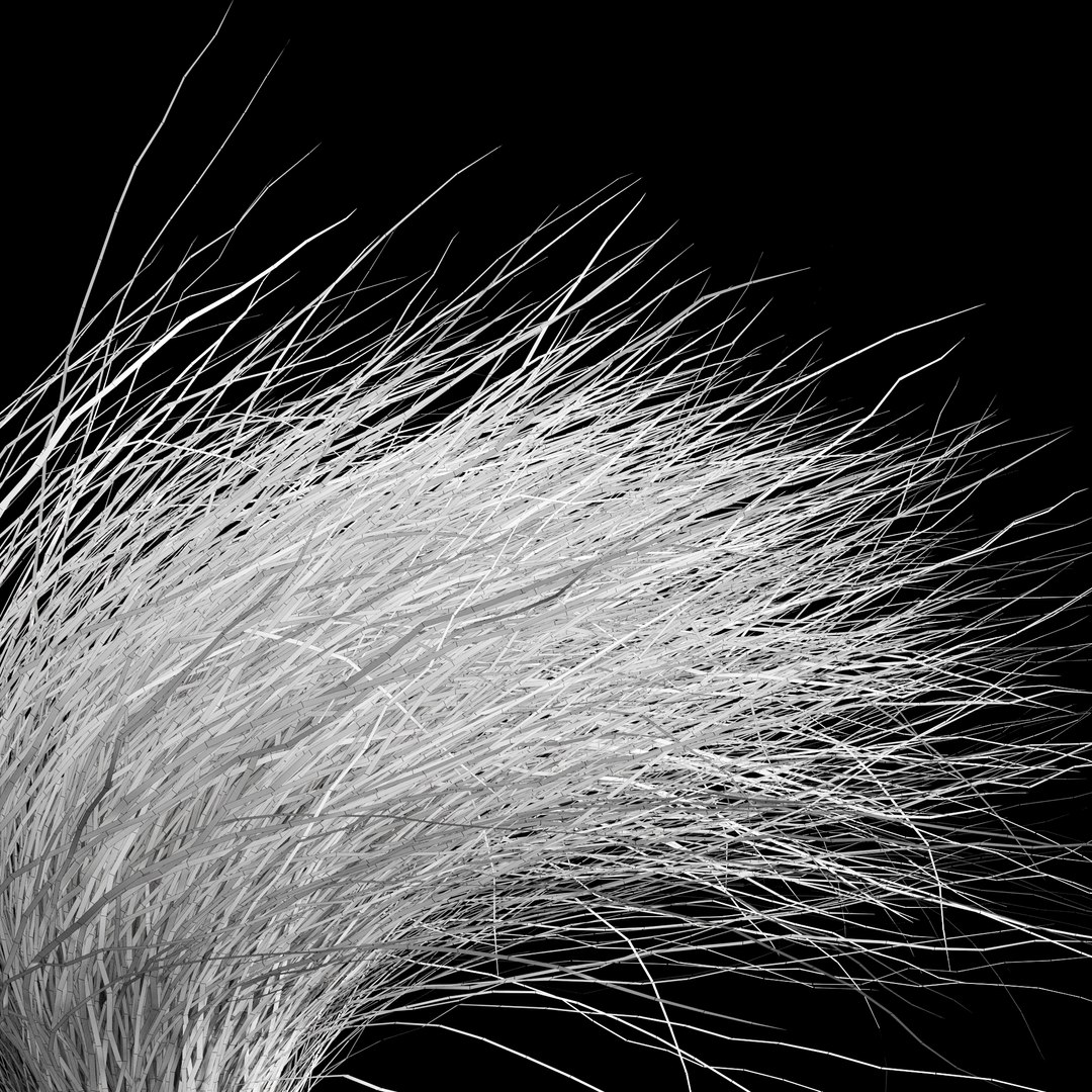 Bushes Wild Dry Grass 3D Model - TurboSquid 1590614